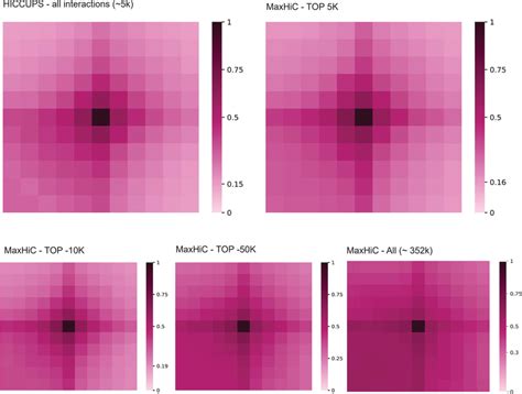 Aggregate Peak Analysis Apa Of Significant Interactions Called By