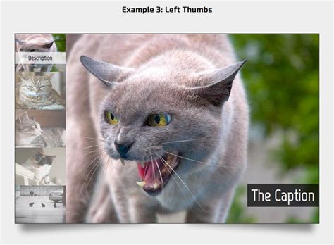 Pure Css3 Gallery DesignersLib