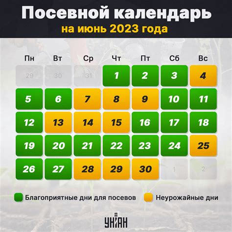 Лунный посевной календарь на июнь 2023 на каждый день — УНИАН