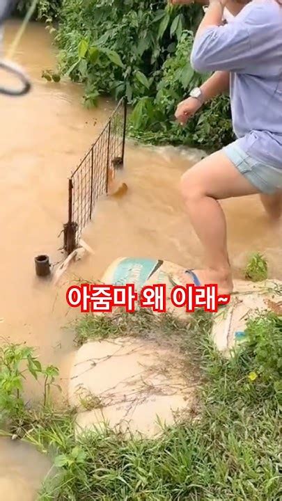 아줌마 물에서 왜 이래 Youtube