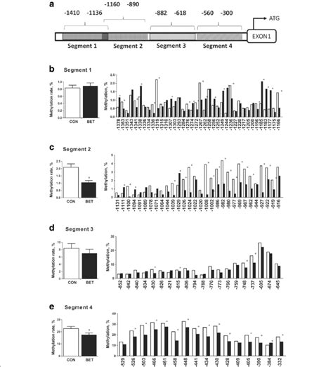 Cpg Methylation Of Gr Gene Promoter A Schematic Diagram Showing The