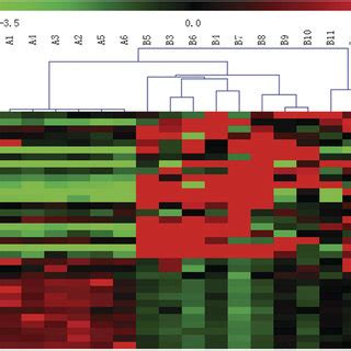 Heat Map Of MicroRNA MiRNA Microarray Expression Data From Plasma