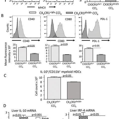 Cx 3 Cr1 Deficiency Affects Myeloid Hdcs In The Livers Of Mice