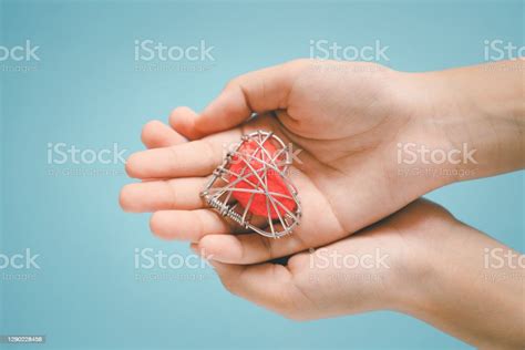 파란 배경 사랑 건강 관리 장기 기증 마음 챙김 웰빙 보험 및 Csr 개념 세계 보건의 날 국가 장기 기증자의 날로 강한 마음을