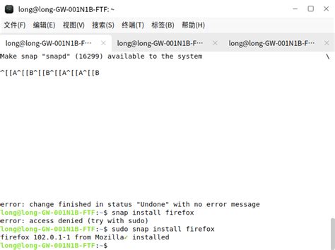 Linux 麒麟操作系统 Kylinos 从入门到精通 办公环境 第二十五篇 安装最新版本的firefox和chromium