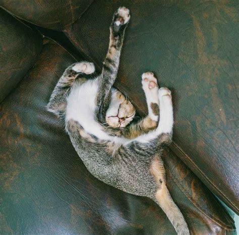 Program To An Interface With Selenium Webdriver Ebook Selenium Automation In Java