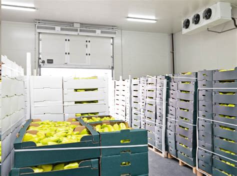 Vegetable Cold Storage Cold Room For Vegetables Supplier