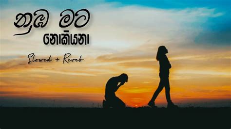 Nuba Mata Nokiyana නුඹ මට නොකියනා Slowed Reverb Janu Teledrama