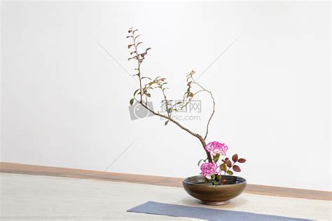 日式插花高清图片下载 正版图片500471862 摄图网