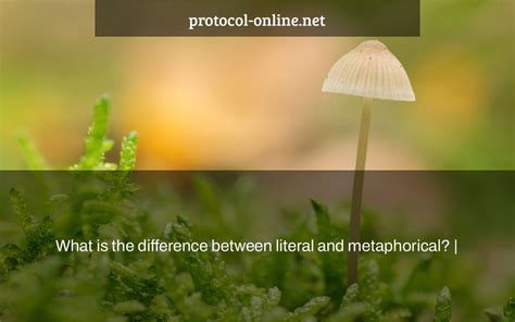 What Is The Difference Between Literal And Metaphorical Protocol