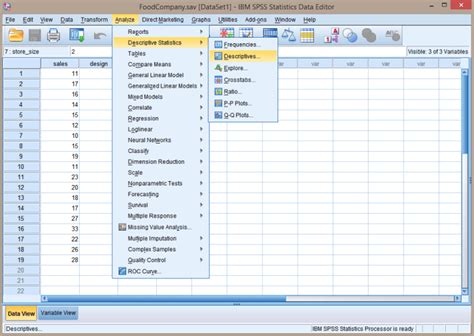 De SPSS data editor