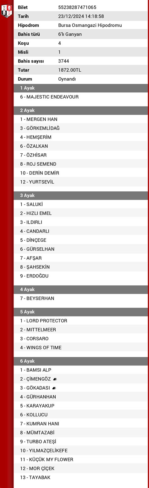 ARALIK BURSA AT YARIŞI TAHMİNLERİ ADMİN Banko Tahminler