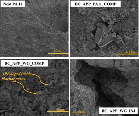Sem Micrographs Of The Composites Fractured Surfaces Download