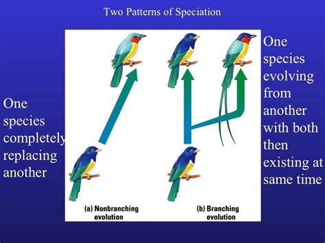 Speciation Powerpoint