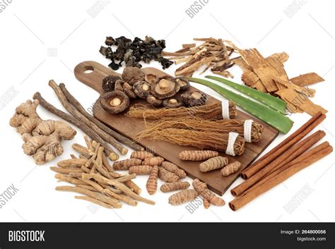 Adaptogen Food Image And Photo Free Trial Bigstock
