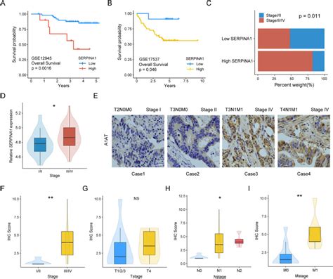 Cebpb Mediated Upregulation Of Serpina1 Promotes Colorectal Cancer