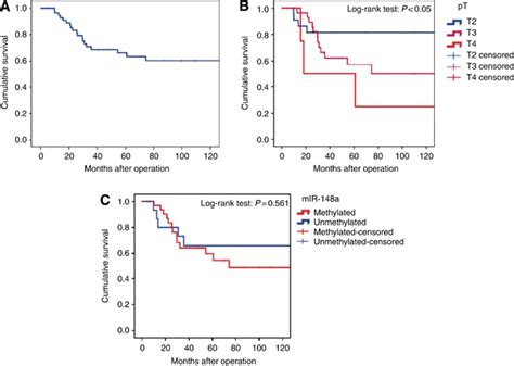 box and whisker plot and kaplan meier disease free survival analysis