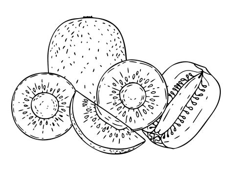 Kostenlose Malvorlagen für Kiwis zum Ausdrucken Kostenlose