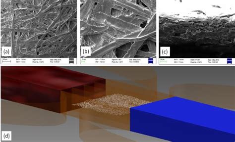 Scanning Electron Micrographs Of The Topology Of The Paper As Coated Download Scientific
