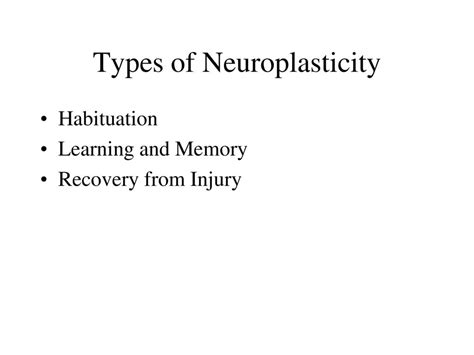 Neuroplasticity Lundy Ekman Chapter 4 Dr Donald Allen Ppt Download