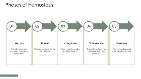 Hemostatic Process Ppt Slides Acp Ppt Example