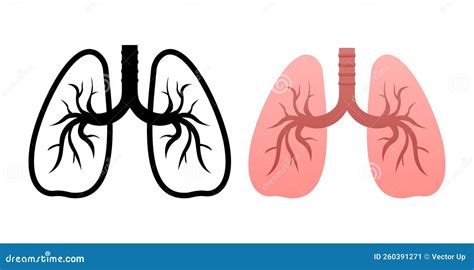 Pleurodesis Medical Procedure Cartoon Vector 276729717