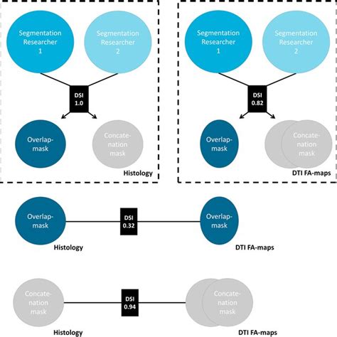 Work Flow Of Segmentation And Dice Similarity Indices Overlap Masks Download Scientific