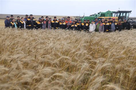 Ерөнхий сайд Л Оюун Эрдэнэ Сэлэнгэ аймаг тариалангийн бүс нутагт