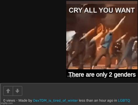 Image Tagged In Gender Tf2 Scout Dance Team Fortress 2 Lgbtq Homophobic