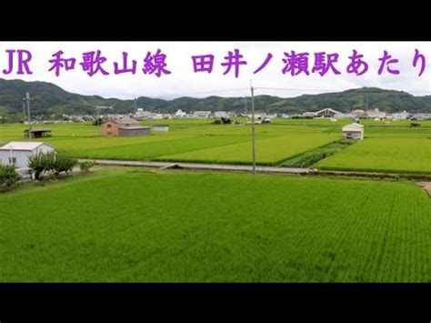 うろうろ和歌山 JR 和歌山線 田井ノ瀬駅 付近 和歌山県 和歌山市 栗栖 岩橋 105系 ワンマン運転 肌色 と 青緑色 塗装車