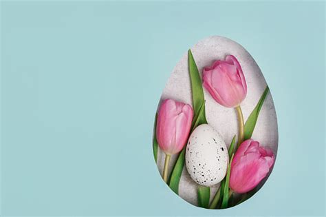 분홍색 튤립 꽃이 있는 부활절 레이아웃 복사 공간이 있는 파란색 종이 배경 봄 자연 개념입니다 계란 모양 부활절 휴일 최소