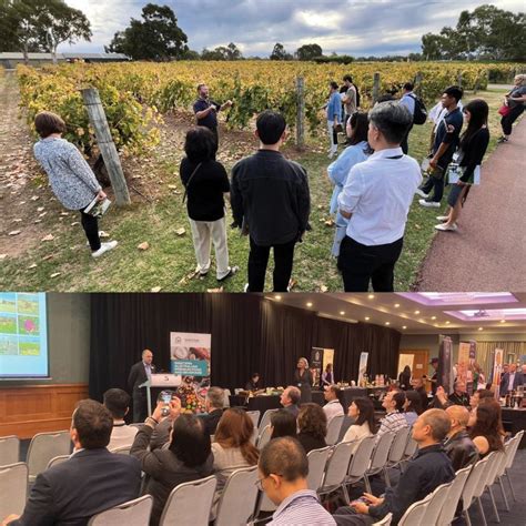 South West Development Commission On Linkedin Part Of What We Do Here