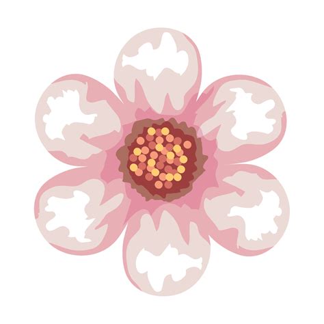 Pink Flower Drawing Vector Design 18772248 Vector Art At Vecteezy
