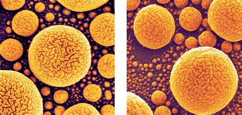 Electron Microscope Images Atom