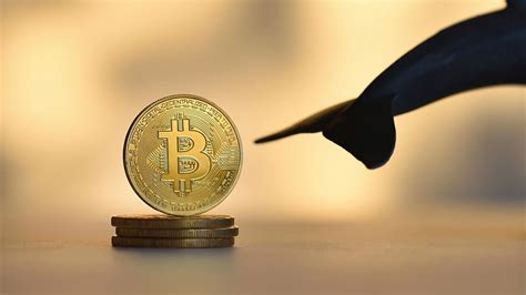 Baleia De Bitcoin Critica Elon Musk E Justifica Efeito Lindy Livecoins
