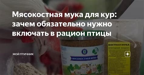Мясокостная мука для кур зачем обязательно нужно включать в рацион птицы Мой птичник Дзен
