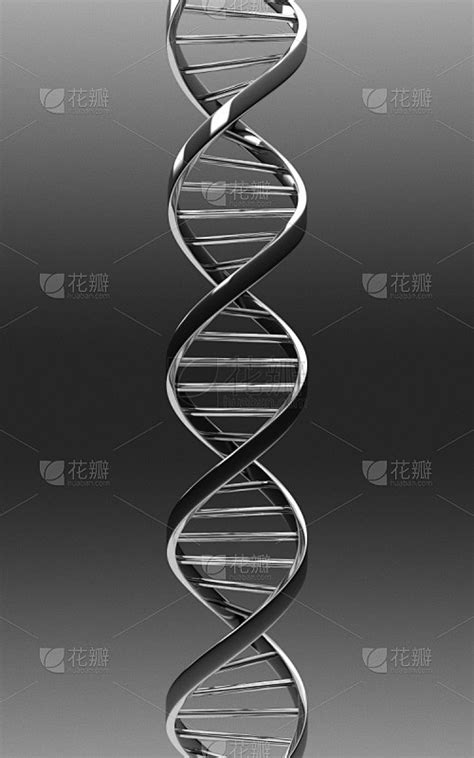 脱氧核糖核酸螺旋模型染色体转基因自然垂直画幅生物科技无人科学健康保健