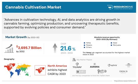 Research Dive On Linkedin Ai Dataanalytics Automation