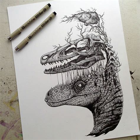 Dinosaur Skull Drawing At Explore Collection Of