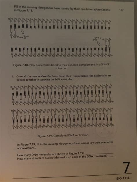 Solved 2 Figure 7 16 Shows A Dna Molecule That Is To Be