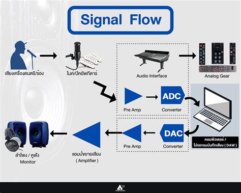 What Is Signal Flow At Judy Parks Blog