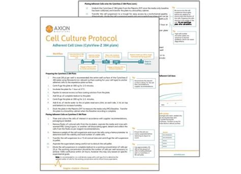 Culture Protocol Axion Biosystems