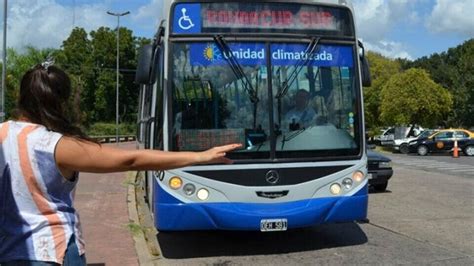 Paro De Colectivos En Córdoba Las Líneas Afectadas Y Hasta Cuándo