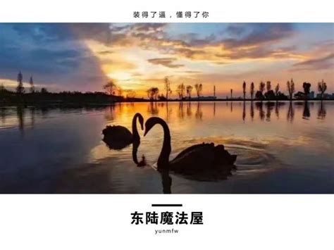 对于江歌刘鑫事件，我只想说，在座的各位稍微静静