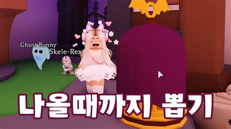 [로블록스] 흰색박쥐 뽑을때까지 뽑기 입양하세요 114화 [roblox] 단미호 Adopt Me Youtube