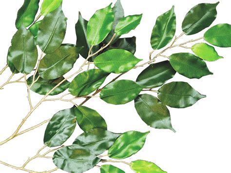 Artificial Ficus Benjamina Tree With Lights Faux Tree Commercial Silk