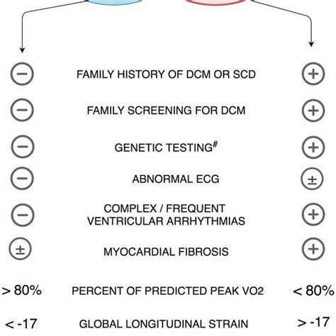 A Clinical Management Algorithm For Dcm Cmr Cardiac Magnetic