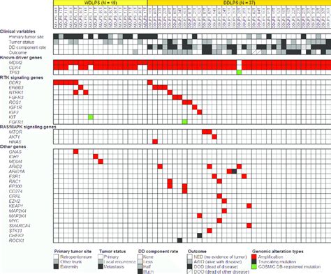 Summary Of Genetic Alterations Identified In 19 Wdlps And 37 Ddlps