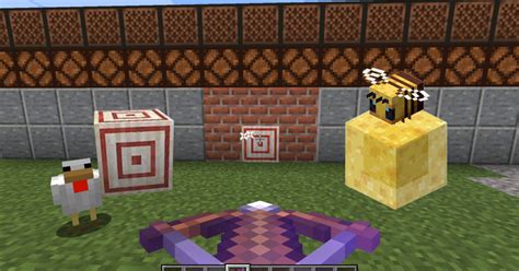 Tutorial Su Come Attivare Il Condotto Marino Su Minecraft