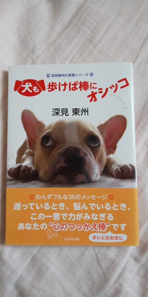 【未使用】犬も歩けば棒にオシッコ 深見東洲 送料180円～ イヌ いぬの落札情報詳細 ヤフオク落札価格検索 オークフリー